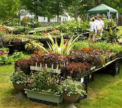Gardening Lectures & Local Events | White Flower Farm