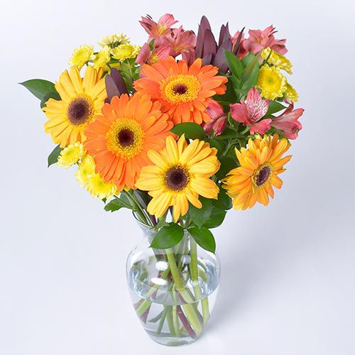 Months of Colorful Mixed Flower Bouquets | White Flower Farm