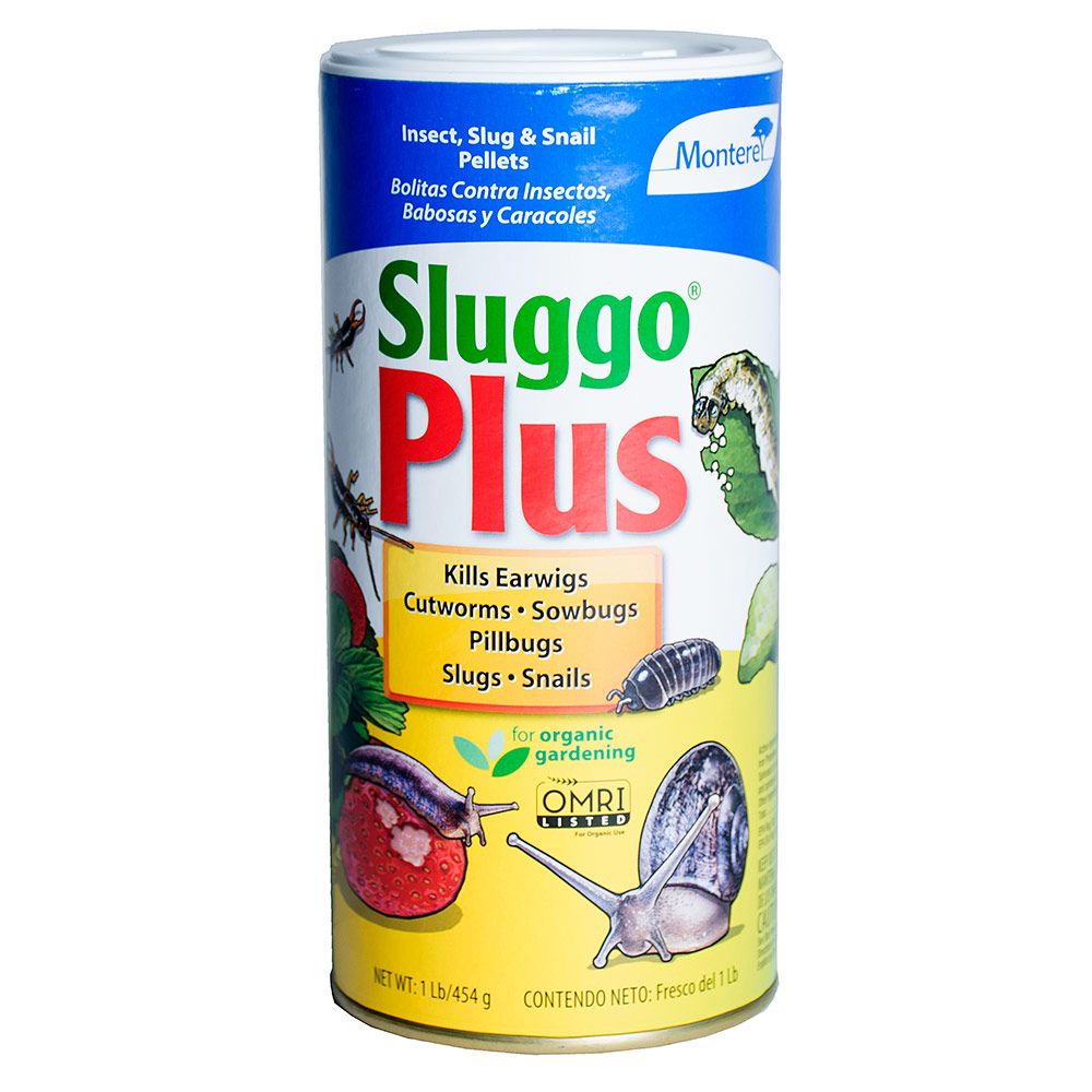 Sluggo® Plus, 1-lb box | White Flower Farm
