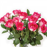 Cut Flower Bouquets | White Flower Farm