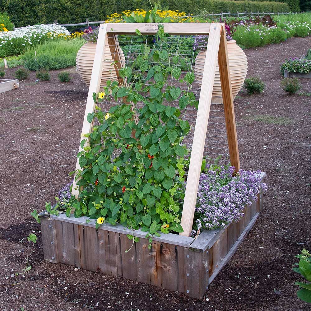 Trellis Farm And Garden Photos at Paul Caison blog