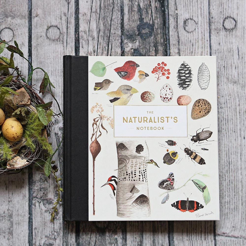 The Naturalist's Notebook | White Flower Farm