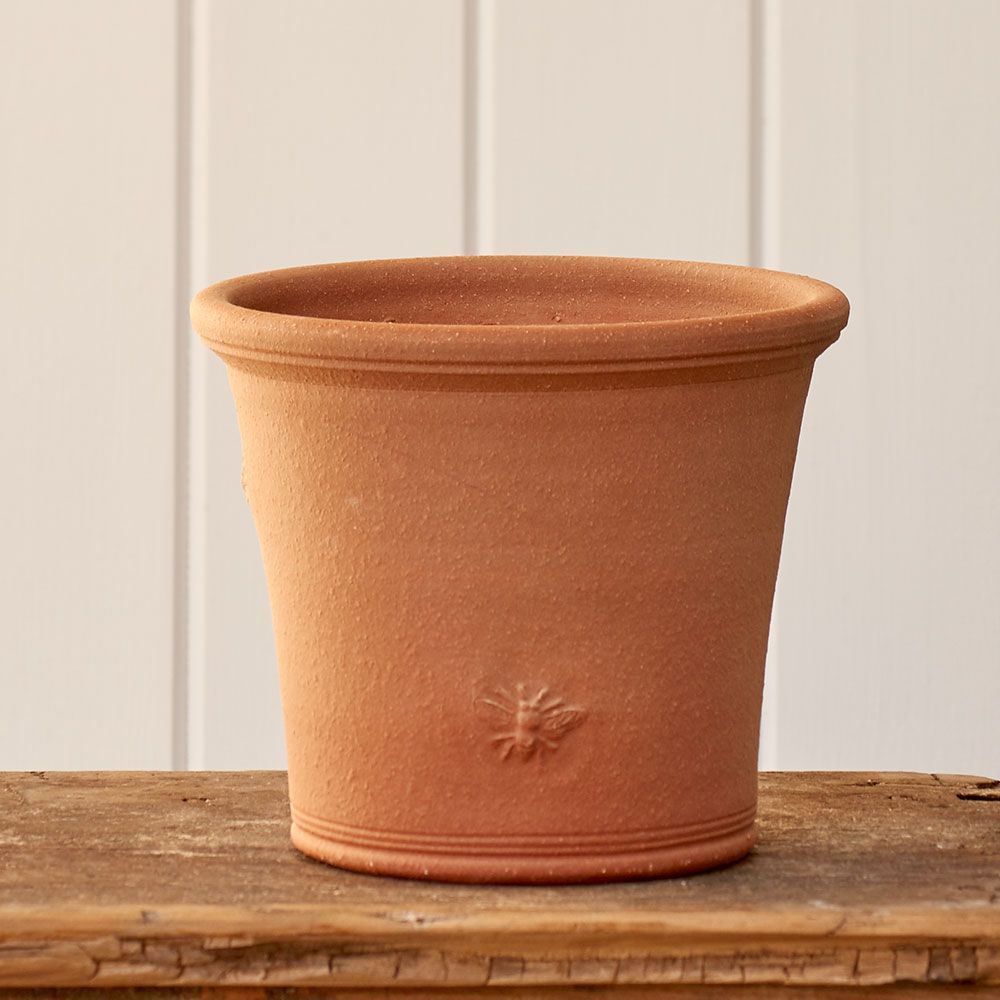 Armscote Bee Pots | White Flower Farm