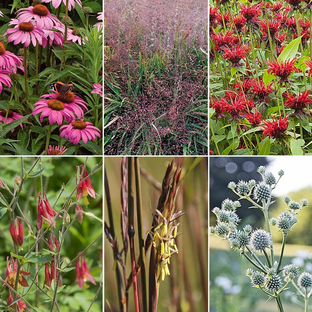 Preplanned Gardens & Collections