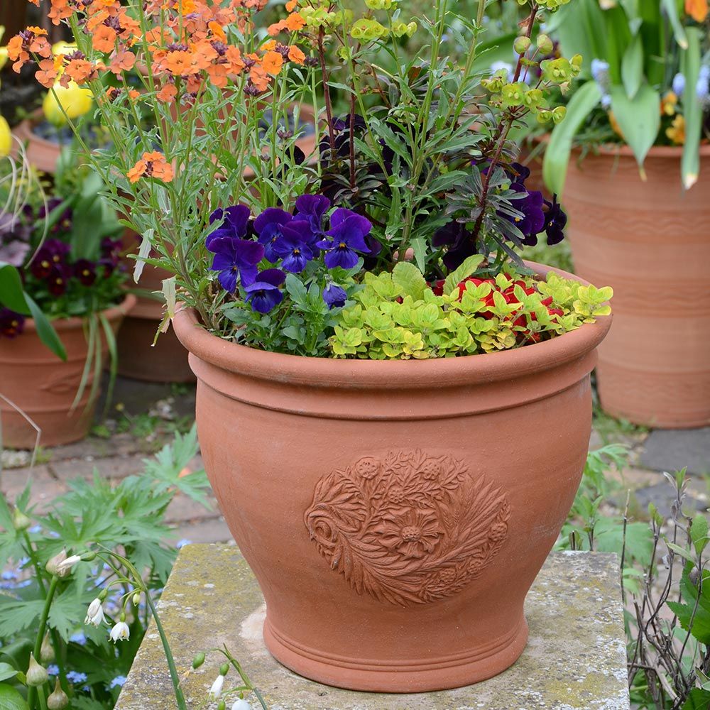 Willow Pot | White Flower Farm