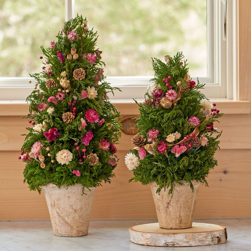 Roxbury Preserved Trees | White Flower Farm