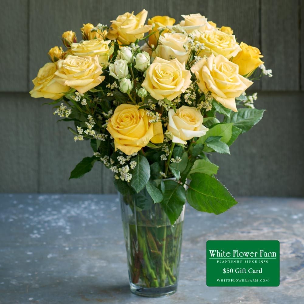 Sunkissed Rose Bouquet | White Flower Farm