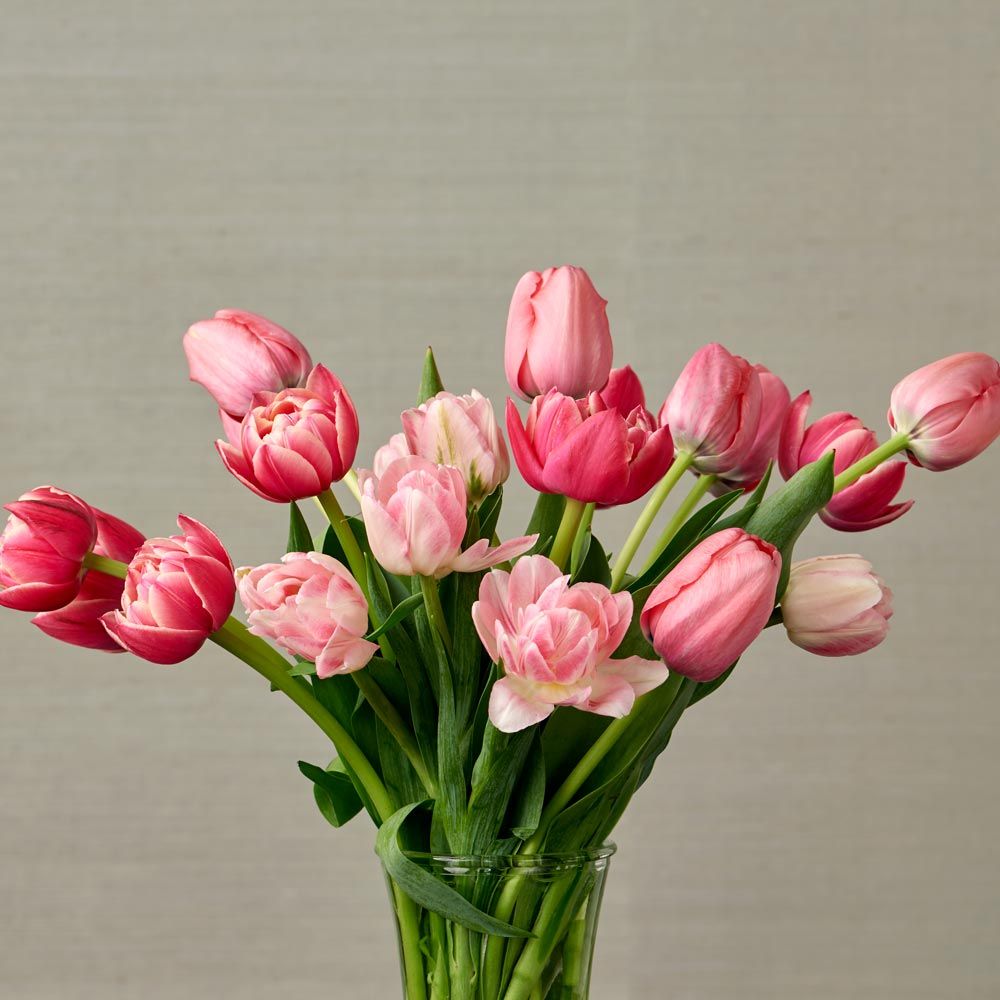 Four Months of Spring Flower Bouquets, March - June | White Flower Farm