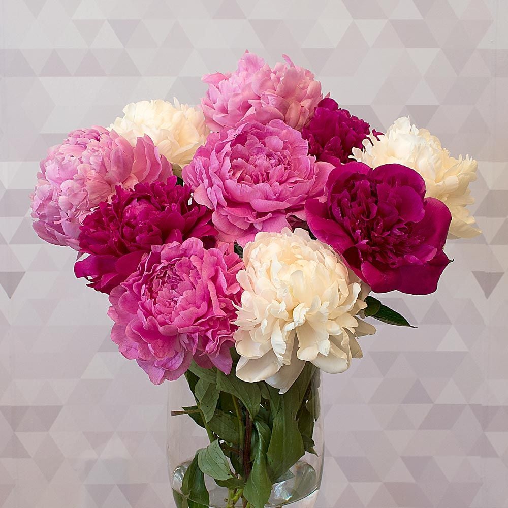 Four Months of Spring Flower Bouquets, March - June | White Flower Farm