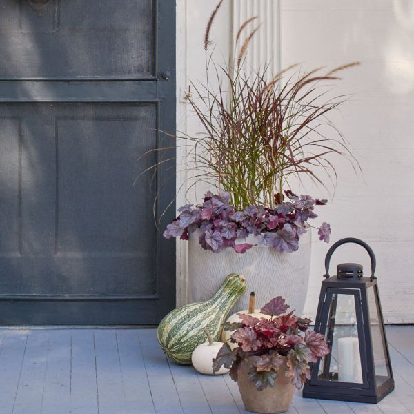 Fall Flourish Collection | White Flower Farm