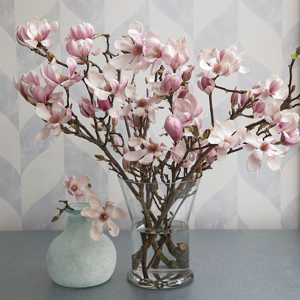Enjoy a Spring Preview Indoors with Flowering Branches | White Flower Farm