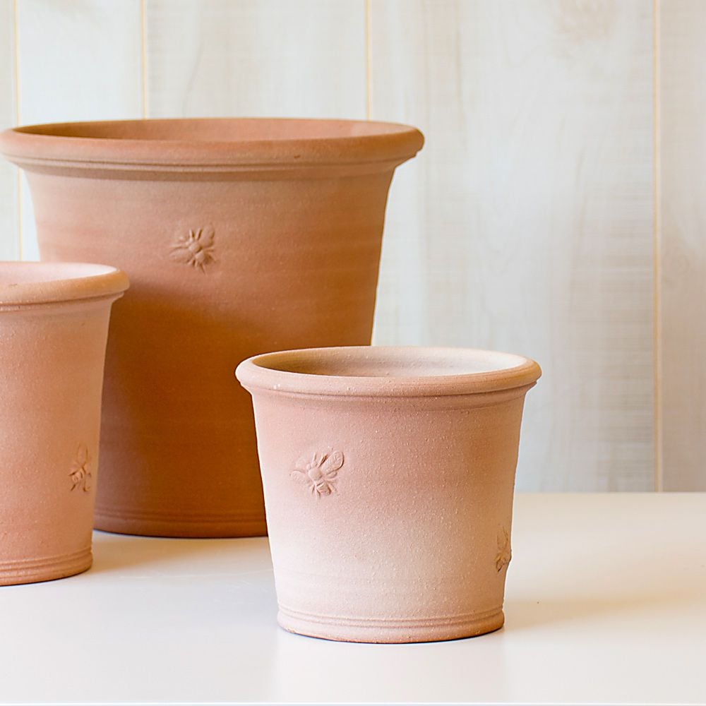 Armscote Bee Pots | White Flower Farm
