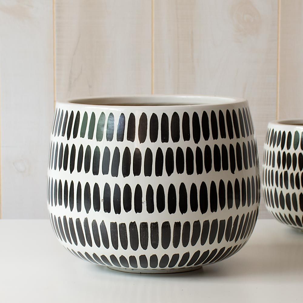 Ventura Ceramic Cachepot | White Flower Farm