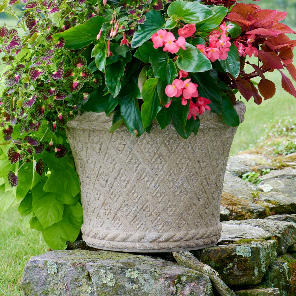 Milano Basket Weave Planter | White Flower Farm