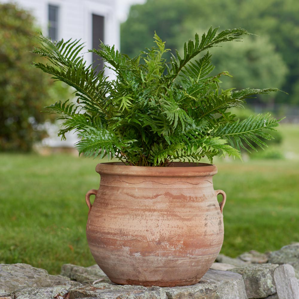 Cretan Pot Gozunta, medium | White Flower Farm