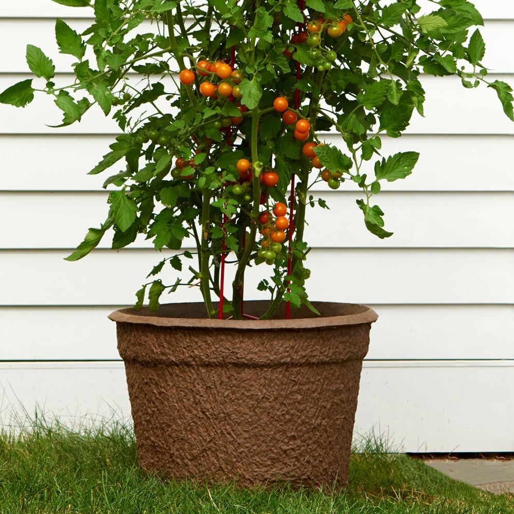 Fiber Garden Pot | White Flower Farm