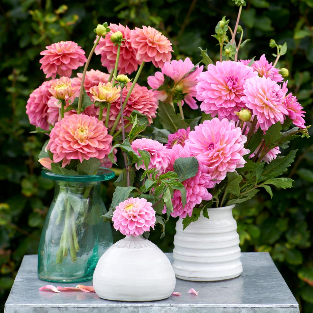 Three Rivers Handmade Tower Vase | White Flower Farm