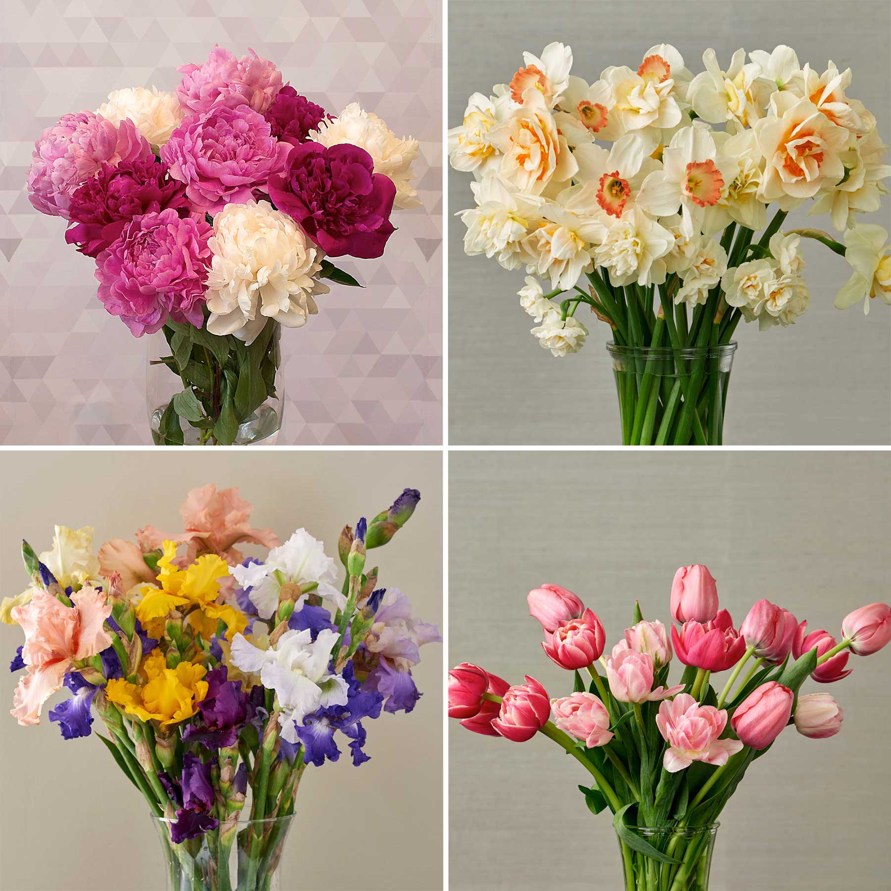 Four Months of Spring Flower Bouquets, March - June | White Flower Farm