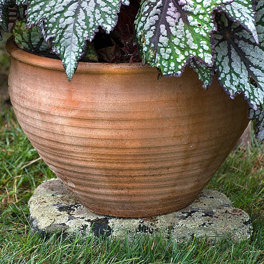 Medium Containers & Planters | White Flower Farm