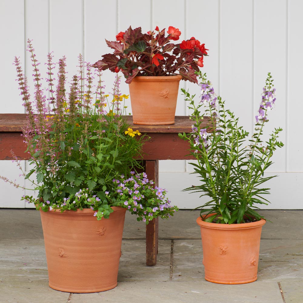 Armscote Bee Pots | White Flower Farm