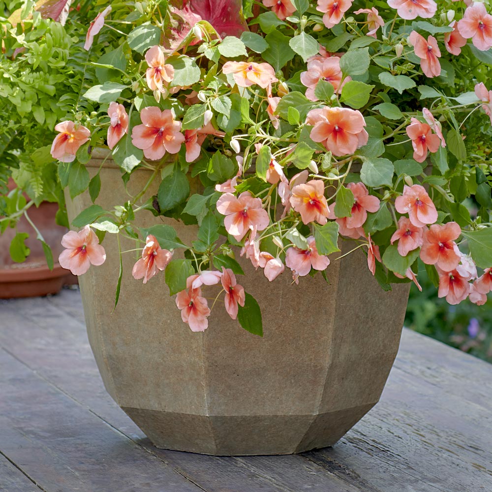 Resin Containers | White Flower Farm