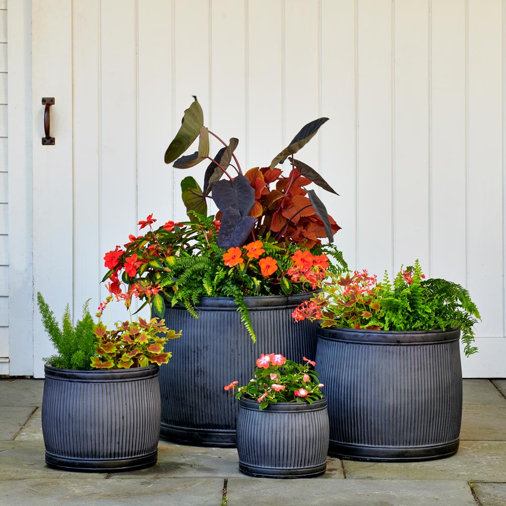 Franklin Park Pots | White Flower Farm