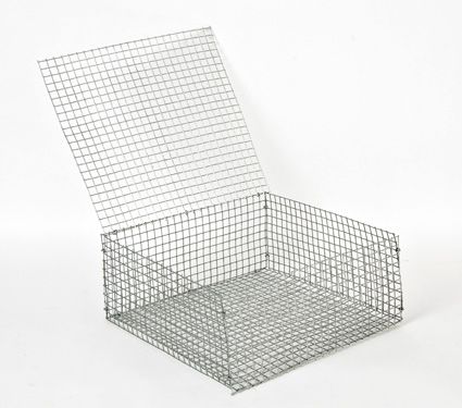 Bulb Cage | White Flower Farm