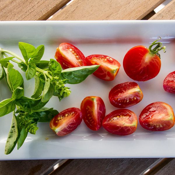 Early-Season Tomatoes | White Flower Farm