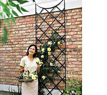 Large Rose Trellis | White Flower Farm