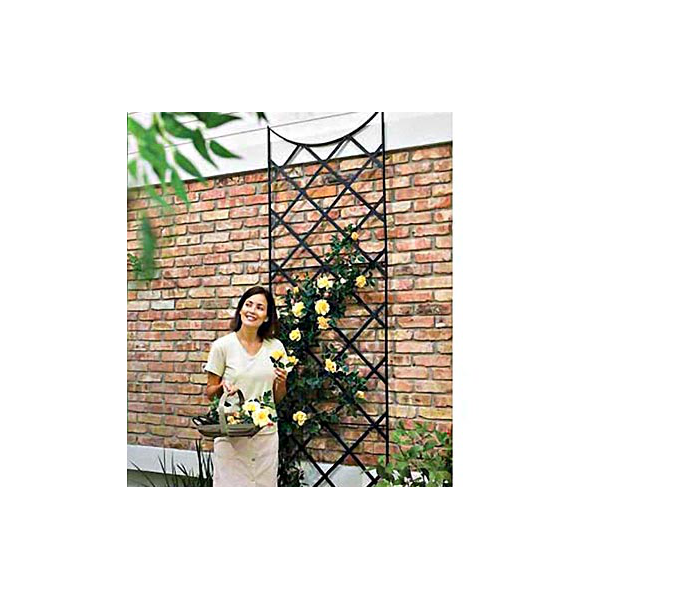 Large Rose Trellis | White Flower Farm
