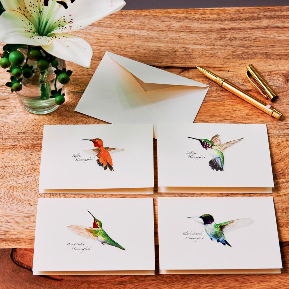 Boxed Note Card Set - Hummingbird | White Flower Farm