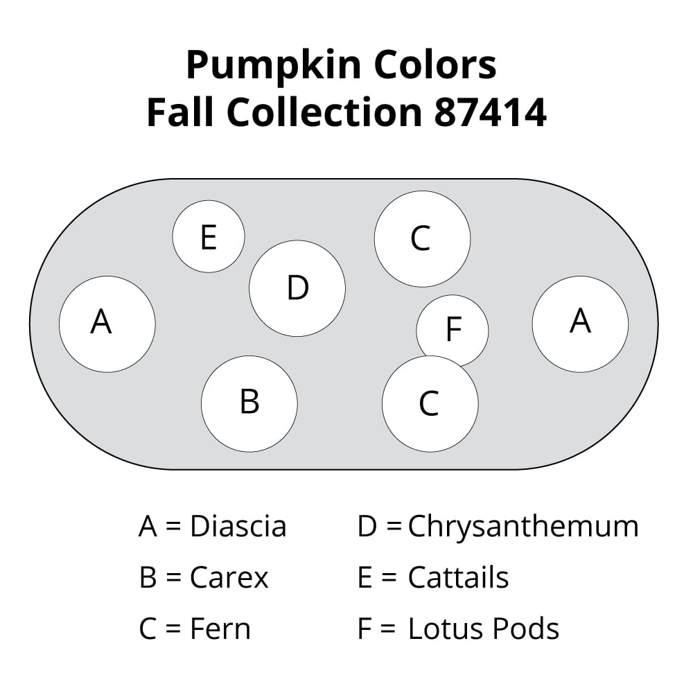 Pumpkin Colors Fall Collection | White Flower Farm