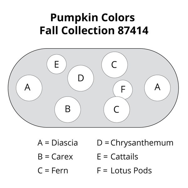 Pumpkin Colors Fall Collection | White Flower Farm
