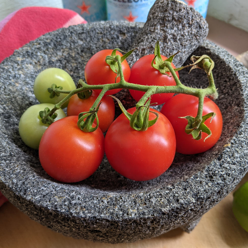 Tomato 'Mountain Magic' | White Flower Farm