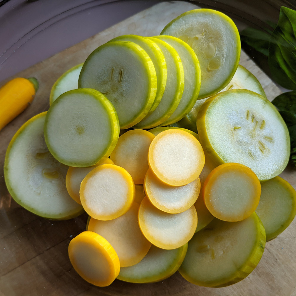 Squash 'Zephyr' | White Flower Farm