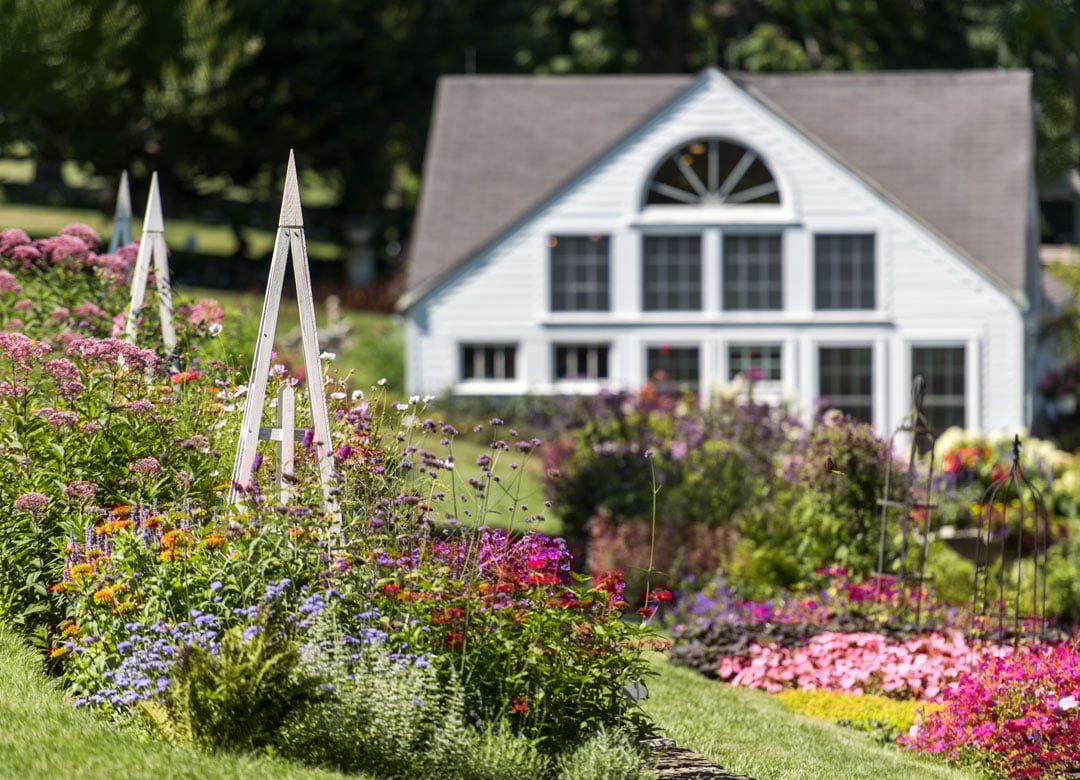 Gardening Tips, Landscaping Tips & More | White Flower Farm