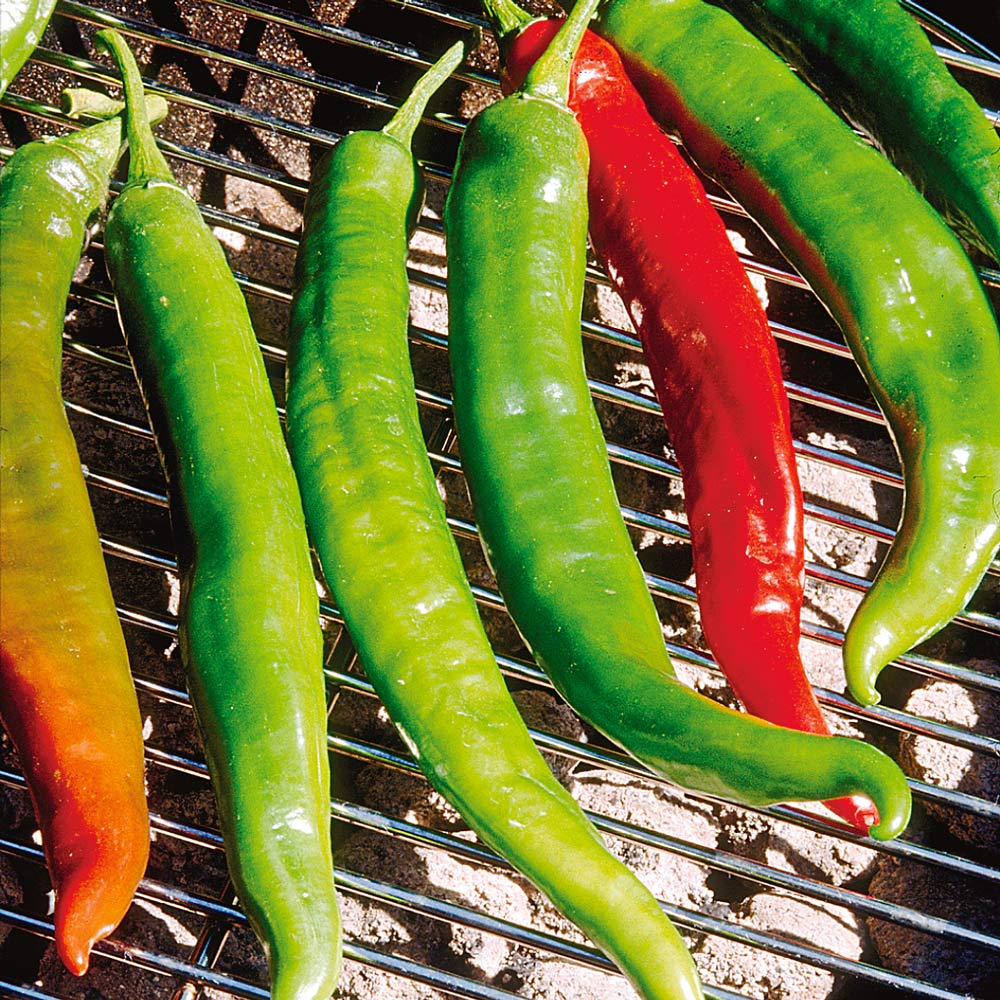 Chili Pepper Sampler | White Flower Farm