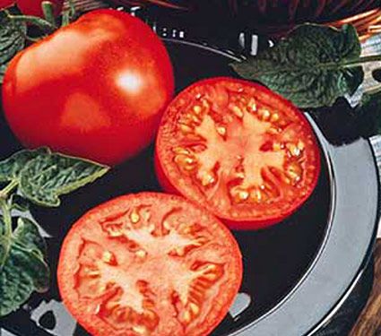 5-Star Tomatoes | White Flower Farm
