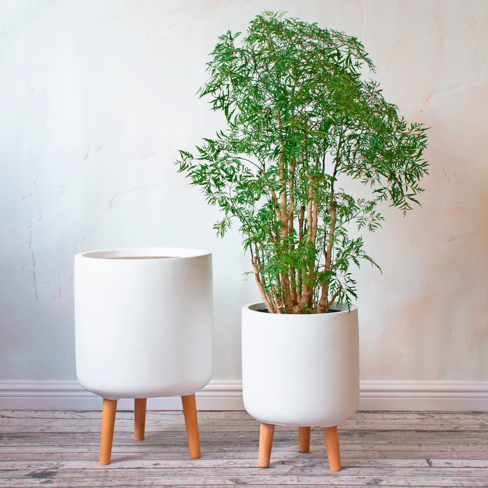 Indoor Pots & Pottery | White Flower Farm