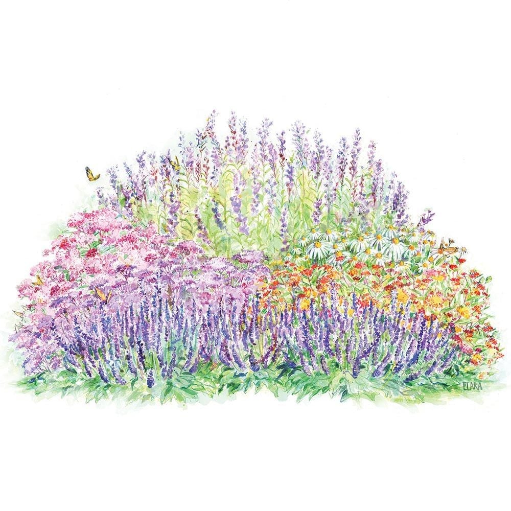 Pre Planned Perennial Collections Pre Planned Gardens | Perennial