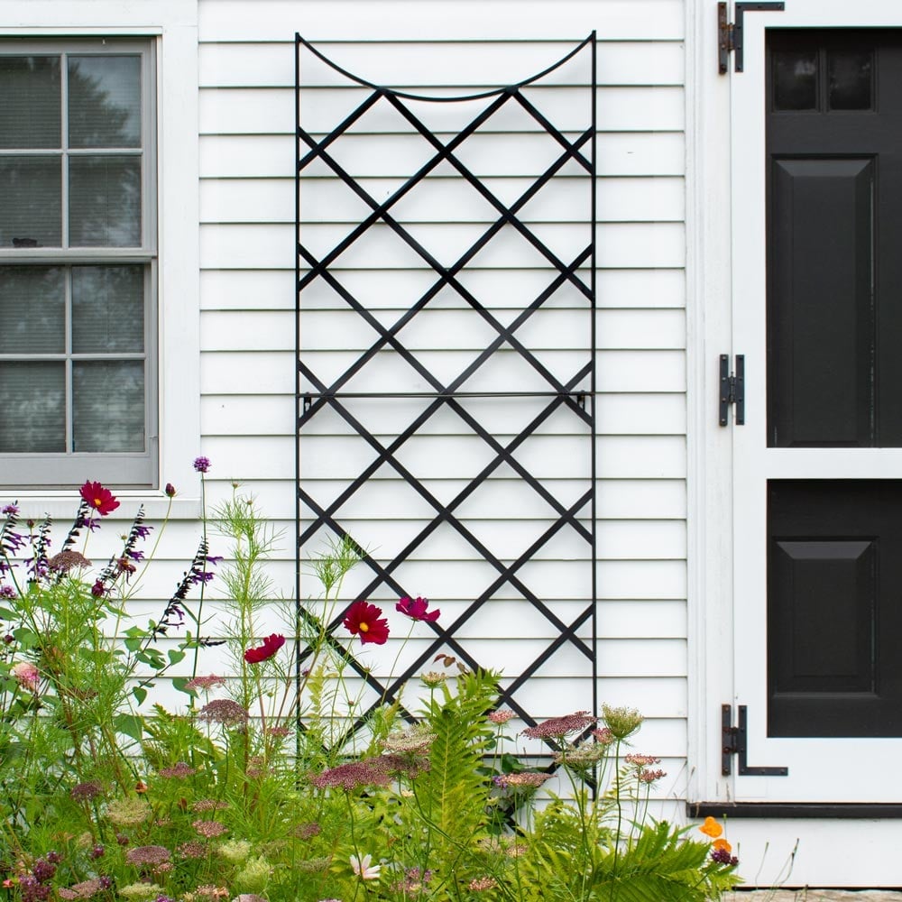 Trellises | White Flower Farm