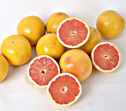 Ruby Red Grapefruit direct from Florida | White Flower Farm