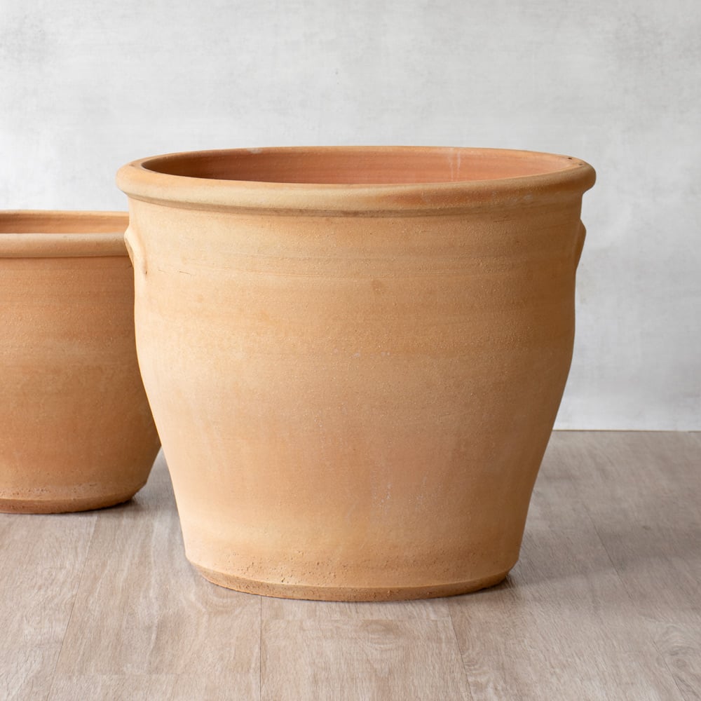 Cretan Pot Patitiri | White Flower Farm