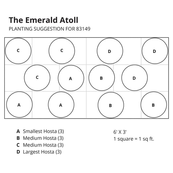 Emerald Atoll, Miniature Hosta Collection | White Flower Farm
