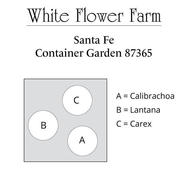 Santa Fe Container Garden | White Flower Farm
