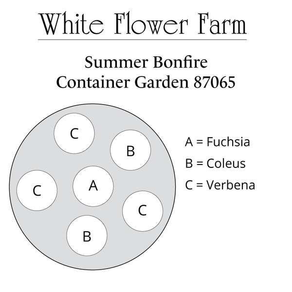 Summer Bonfire Container Garden | White Flower Farm