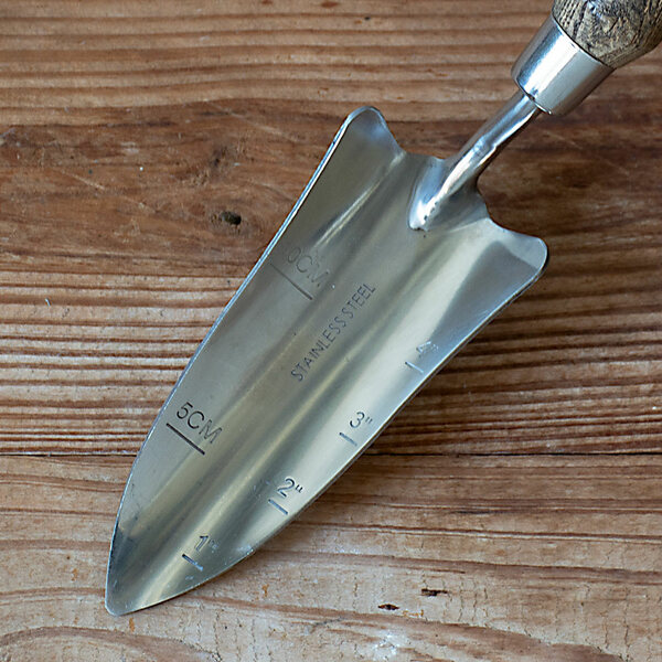 Spear & Jackson Transplanting Trowel | White Flower Farm