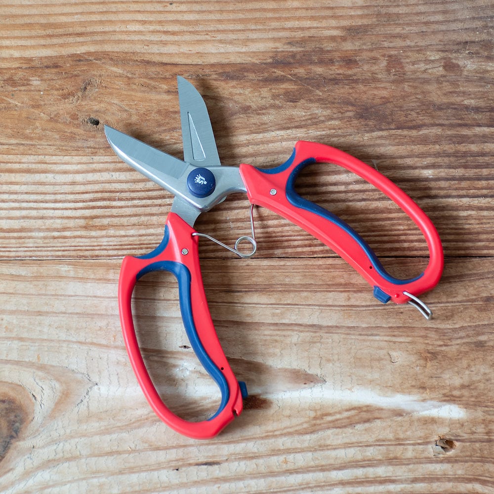 Spear & Jackson Razorsharp Comfort Scissors | White Flower Farm