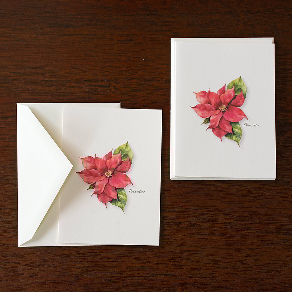 Poinsettia Boxed Note Card Set - Standard Shipping Included | White ...