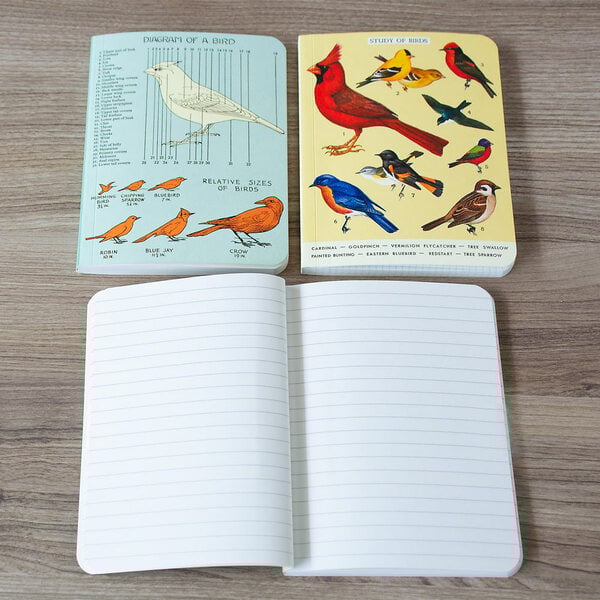Study of Birds Mini Notebook Trio - Standard Shipping Included | White ...